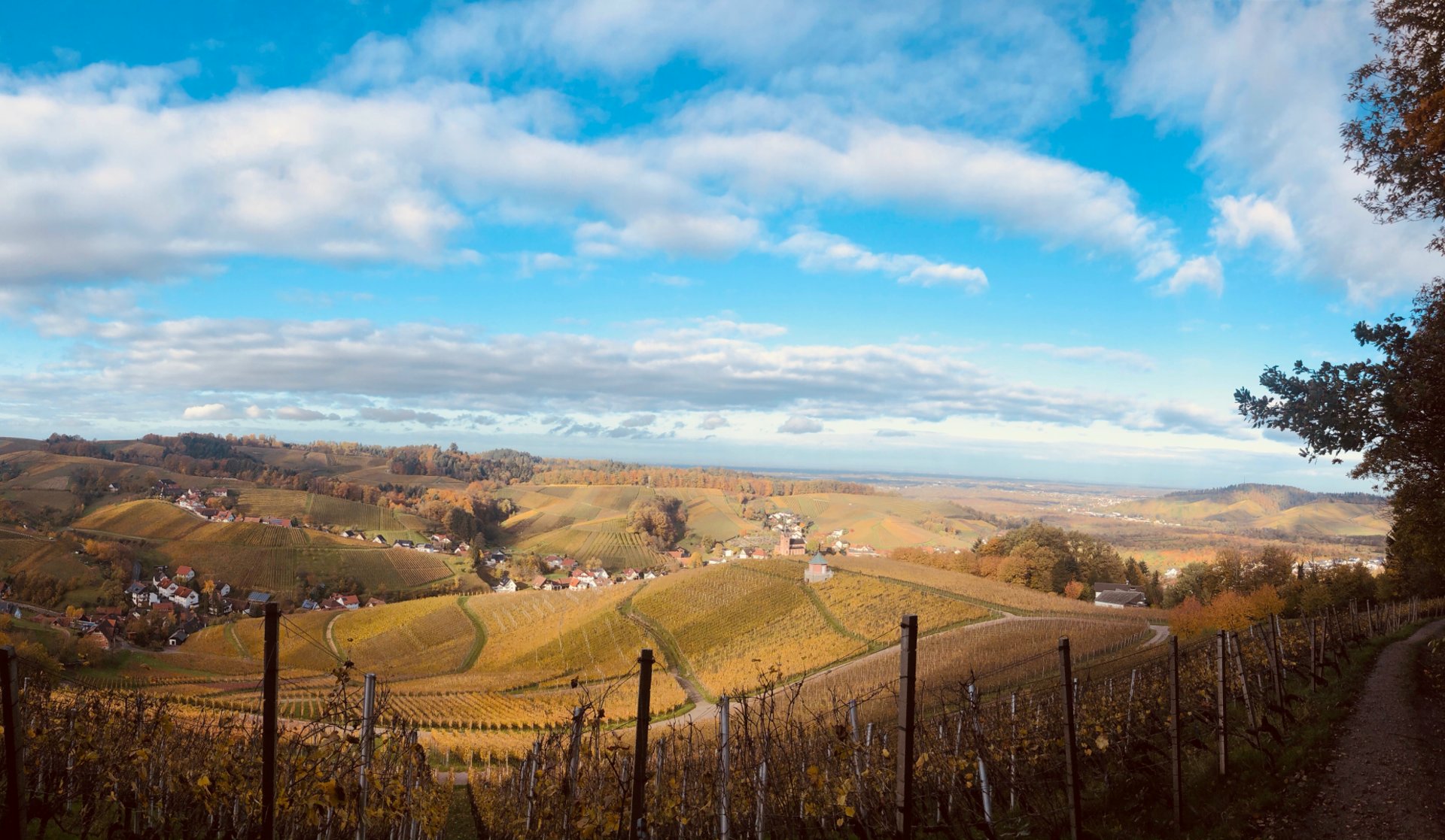 Gemeinde Kappelrodeck | Startseite